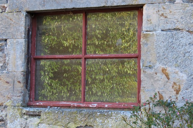 On Reflection – Briefly Write