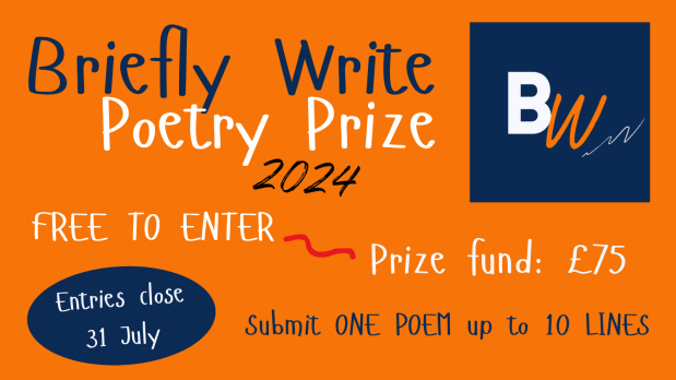 Briefly Write – Dream big, write briefly